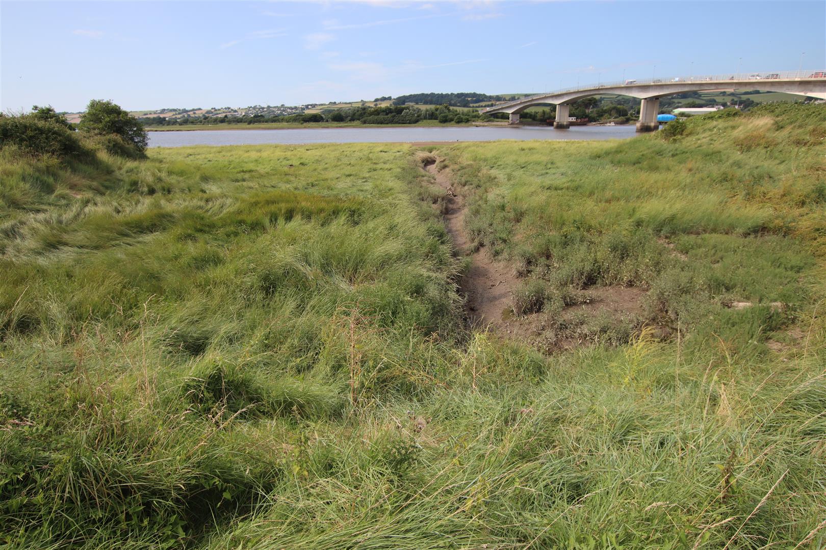River Taw, Barnstaple - Phillips Smith and Dunn